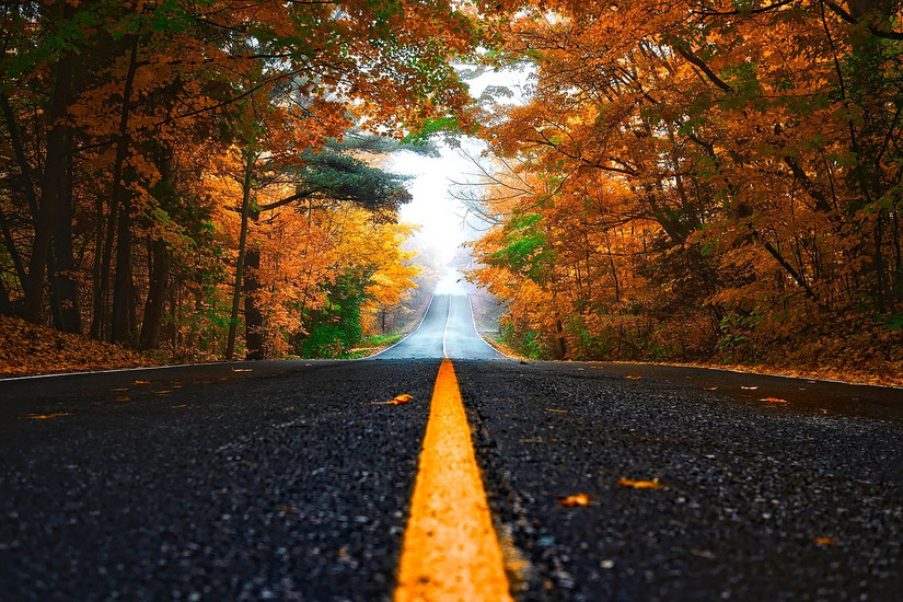 10 Scenic Drives That Show Off The Best Fall Foliage On The East Coast