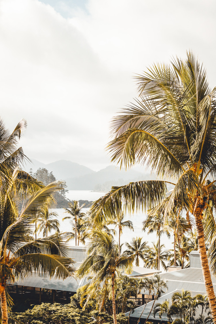 10 Things To Do In Whitsunday Islands: Complete Guide To The Heart Reef ...