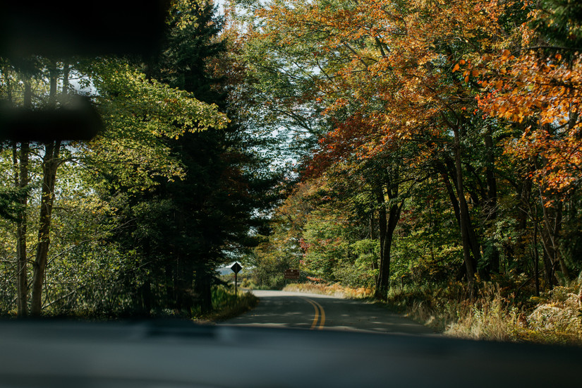 10 Scenic Drives That Show Off The Best Fall Foliage On The East Coast
