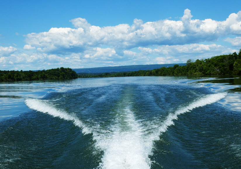 These 10 Stunning Lakes In Tennessee Boast Beautiful Sandy Beaches