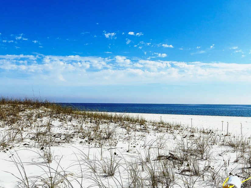 11 Things To Do In Pensacola: Complete Guide To Florida's Panhandle ...