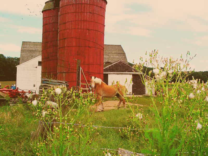 10 Spots To See The Best Fall Foliage Throughout New England