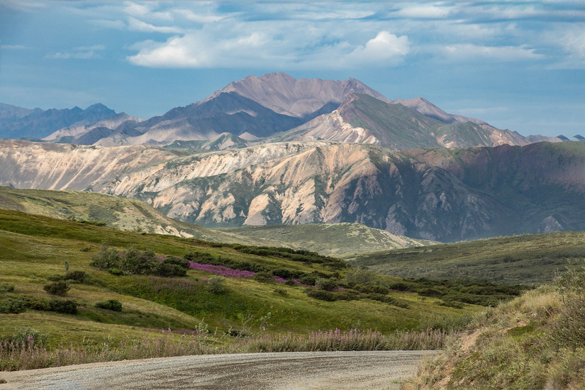 10 Things To Do In Denali National Park Region: Complete Guide To ...