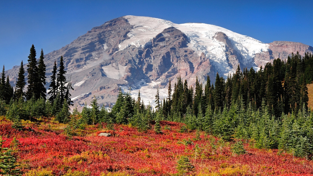 10 Scenic Drives That Show Off The Best Fall Foliage On The West Coast