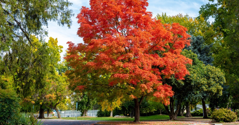 Exploring The 10 Best Cities In Oregon For Unforgettable Experiences