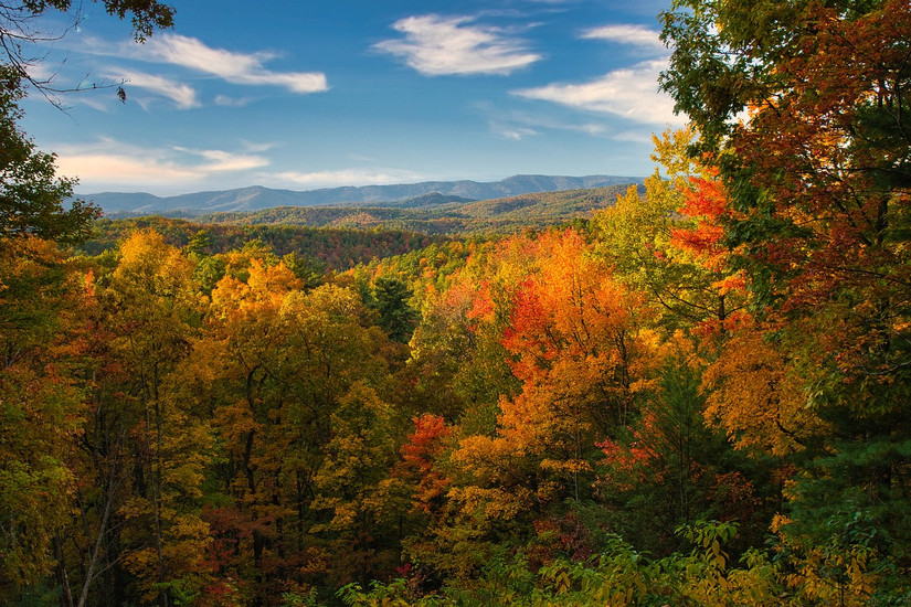 Professional Leaf Peeping: 10 Tips For Finding The Best Fall Foliage