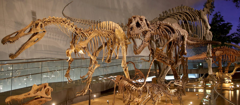 Why Jurassic National Monument In Utah Is Worth Visiting (& What ...