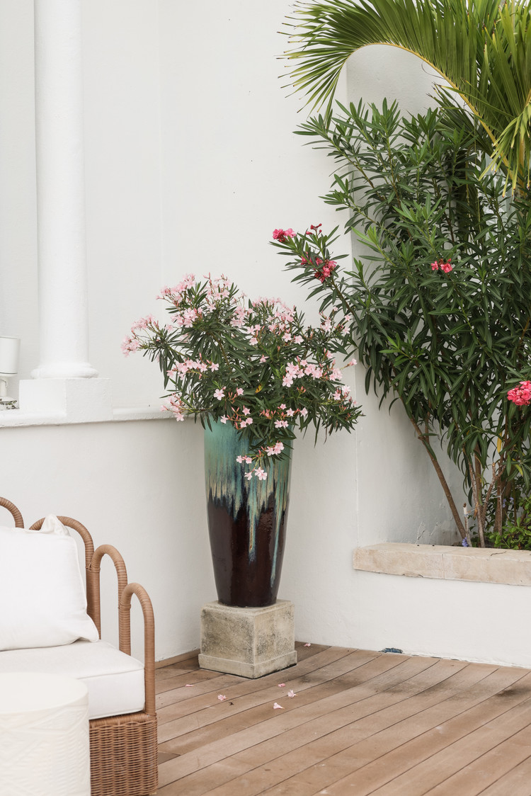 12 Things To Do In George Town: Complete Guide To Exuma's Hidden Gem