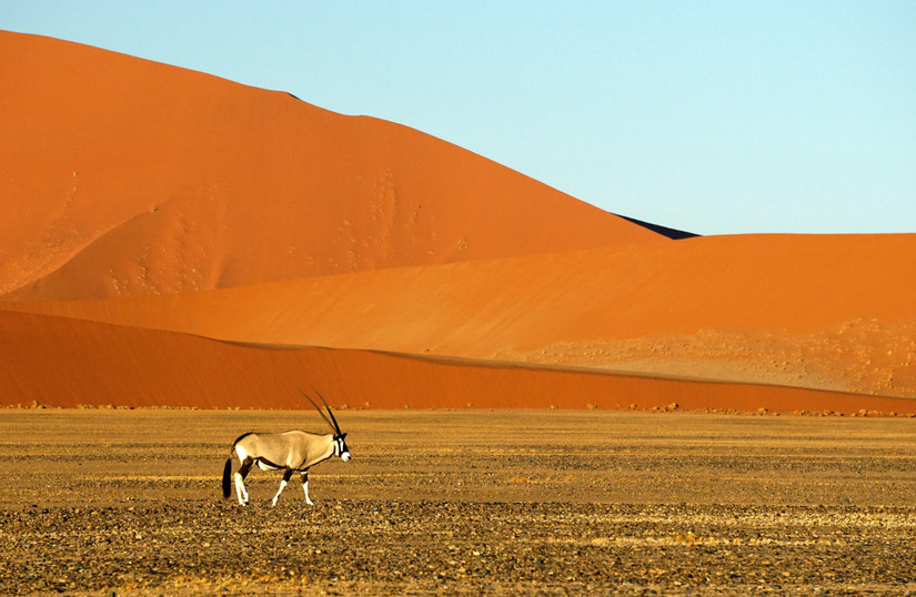 Namibia's National Parks: 10 Best Places For A Safari In Africa
