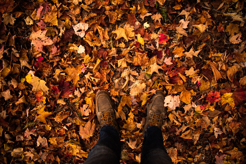 Professional Leaf Peeping: 10 Tips For Finding The Best Fall Foliage