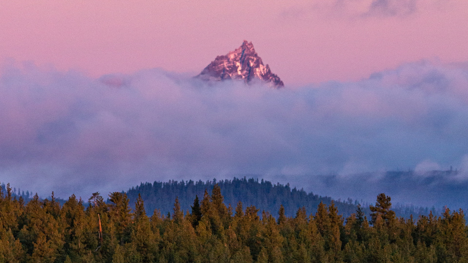 7 Steepest Hikes With The Most Elevation Gain In Oregon