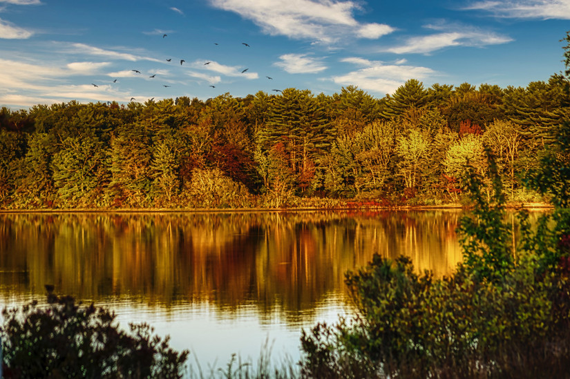 10 Places Where You Can See The Best Fall Foliage In The World