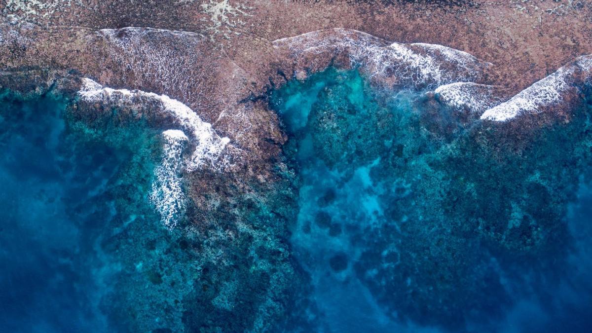 10 Of The Most Beautiful Man-Made Reefs, From Shipwrecks To Coral