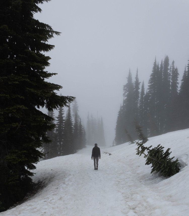 10 Things To Do In Mount Rainier National Park: Complete Guide To ...