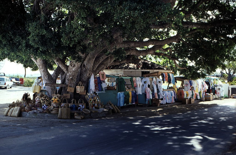 12 Things To Do In George Town: Complete Guide To Exuma's Hidden Gem