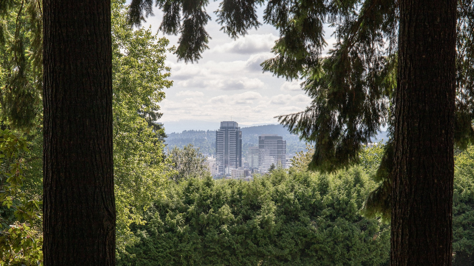 7 Scenic Urban Hikes In Portland, Oregon