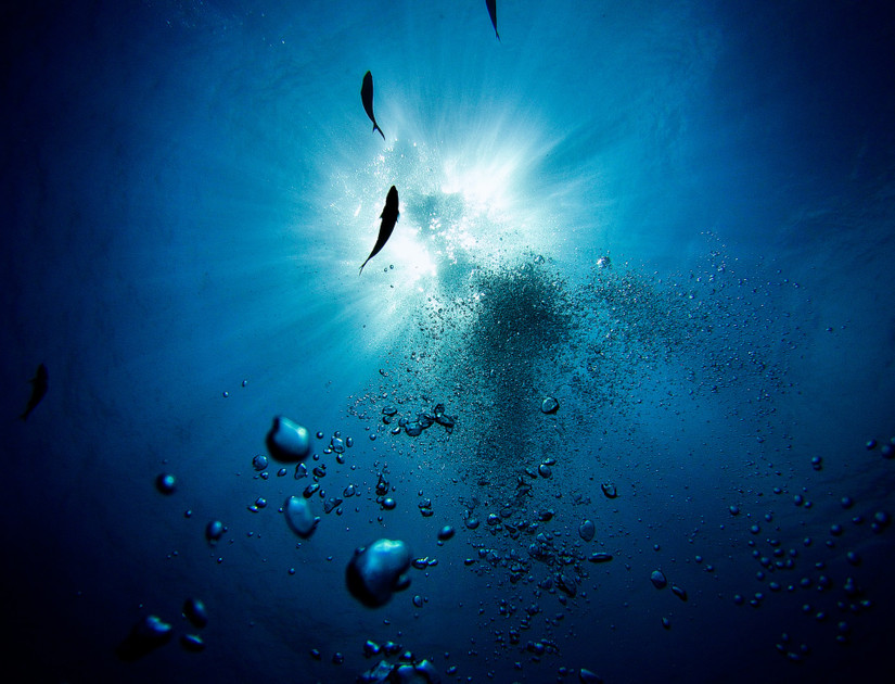 Freediving: 10 Incredible Facts To Know About This Unbelievable Sport