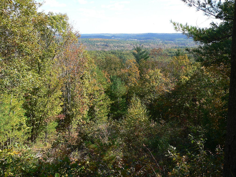 These 10 Blue Ridge Mountain Hikes Showcase The Beauty Of Fall