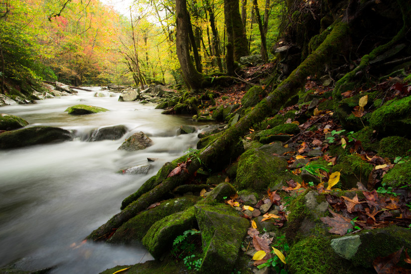 15 Most Beautiful Small Towns In The Tennessee Mountains