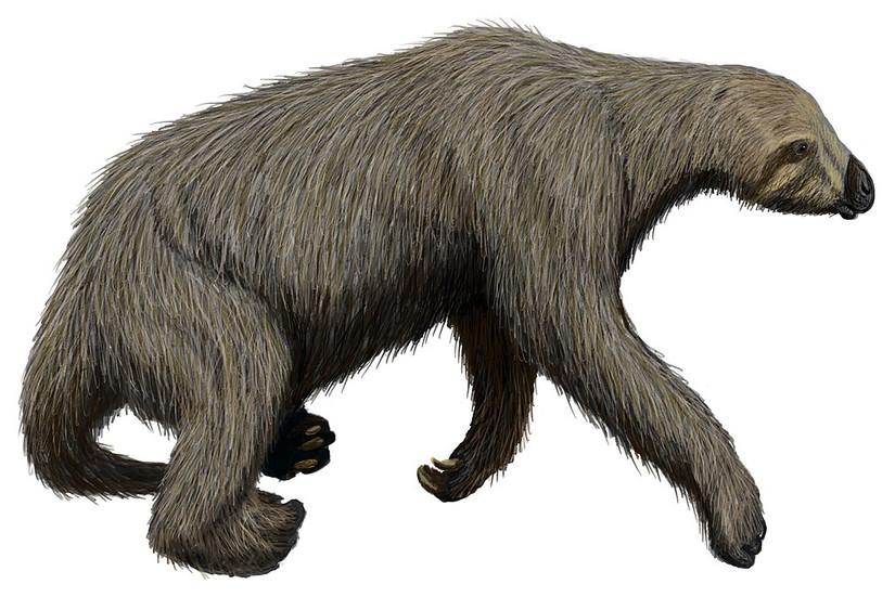 10 Amazing Caves & Rock Formations To Explore Around The Grand Canyon