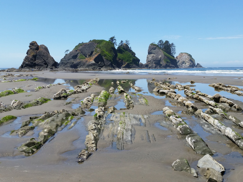 11 Things To Do In Olympic National Park: Complete Guide To Washington ...