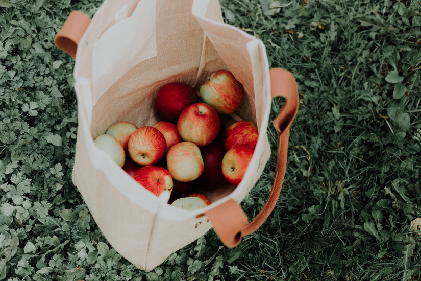 10 Of The Best Places To Go Apple Picking In The U.S. This Season