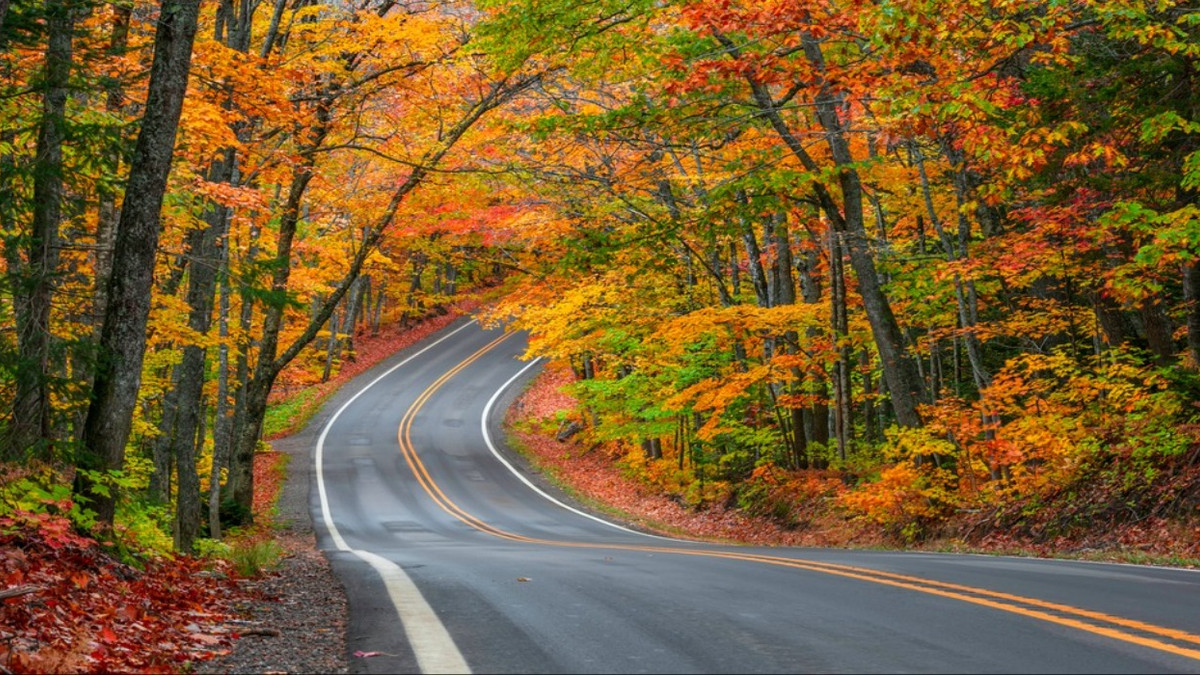 Professional Leaf Peeping: 10 Tips For Finding The Best Fall Foliage