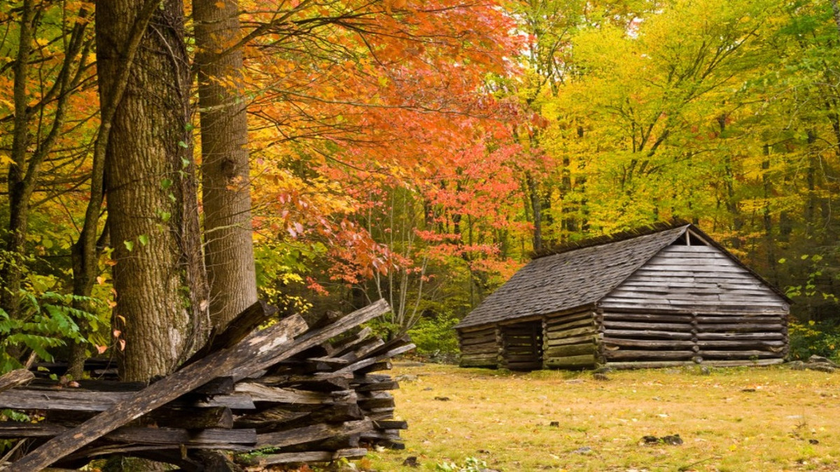 10 Places For The Perfect Fall Camping Trip In The Smoky Mountains