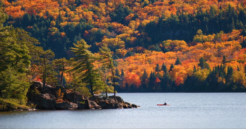 10 Best Hiking Trails In Algonquin Park For Fall Foliage