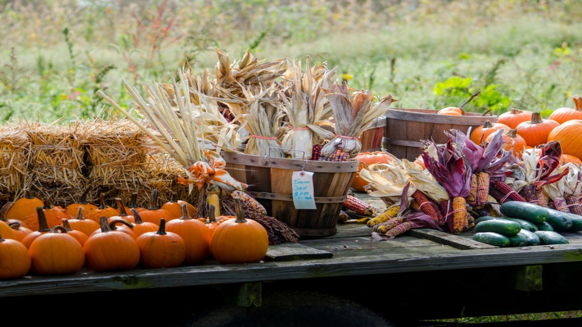 Here Are 10 Of The Best Fall Festivals In Indiana To Attend This Autumn