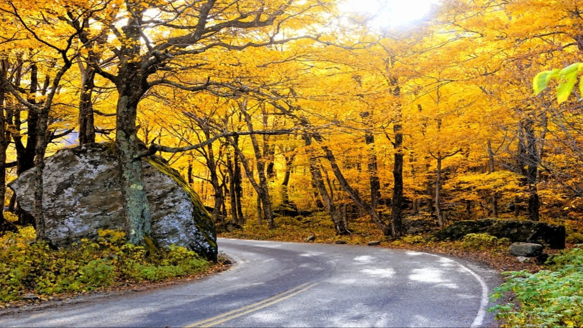 These State Parks Showcase The Best Fall Foliage In October