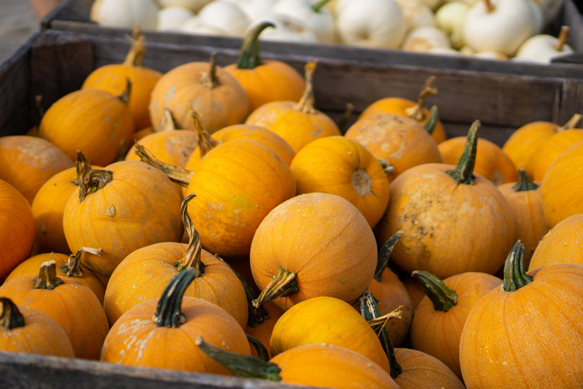 10 Things To Do Near Niagara Falls, New York In The Fall