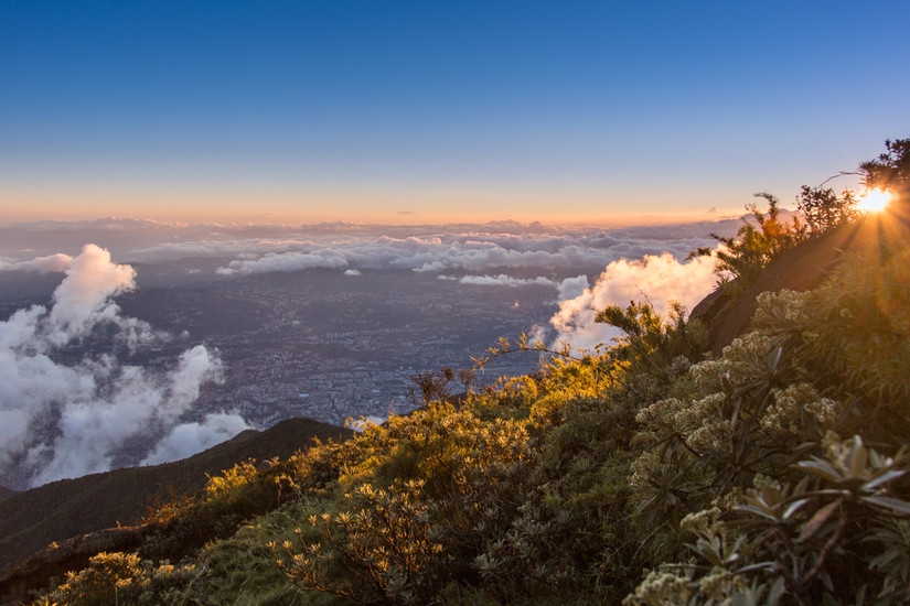 14 Things To Do In Caracas: Complete Guide To The Capital City Of Venezuela