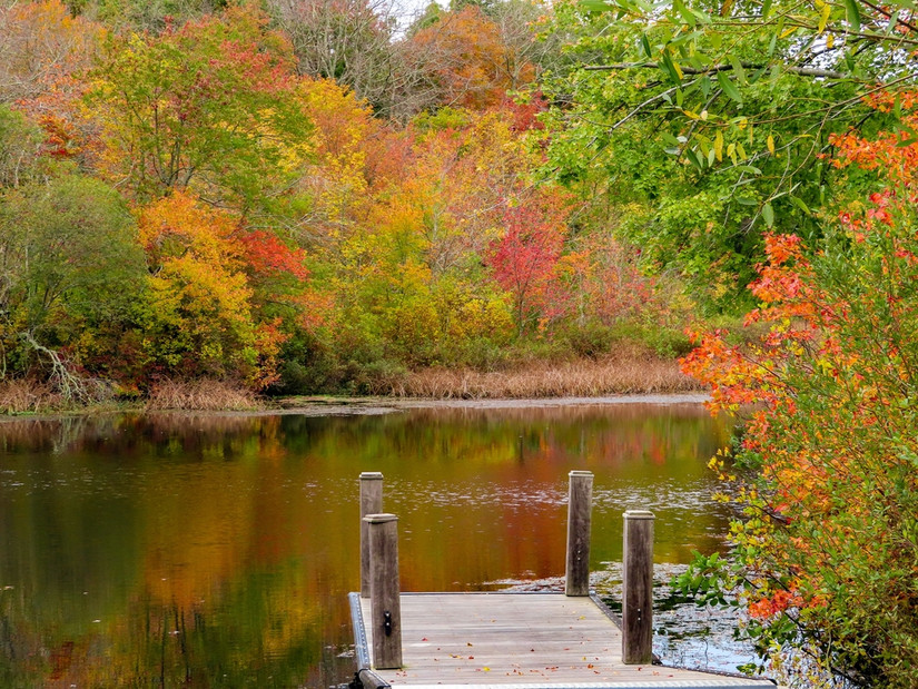 10 Amazing Trips To Take In The Fall In New York