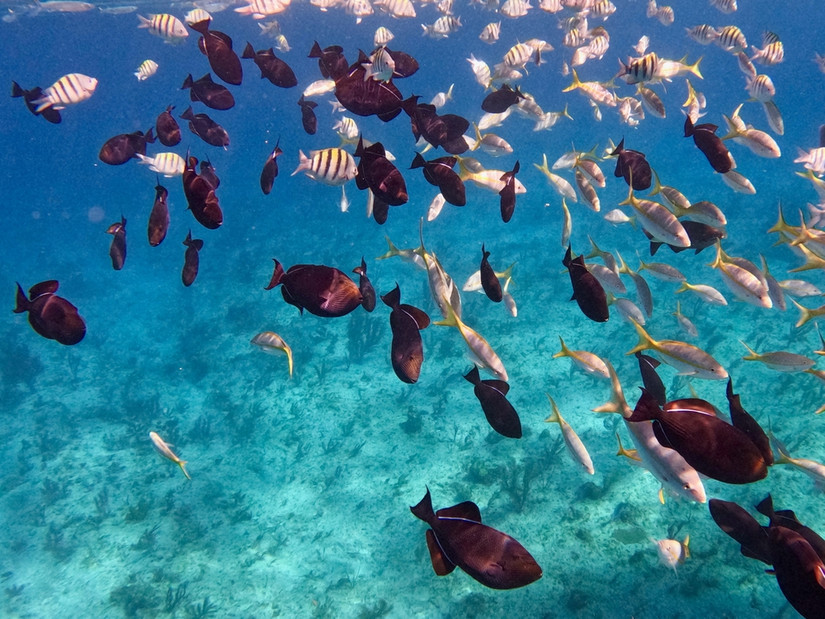 What To Do At Grace Bay Beach: A Caribbean Paradise in Turks & Caicos