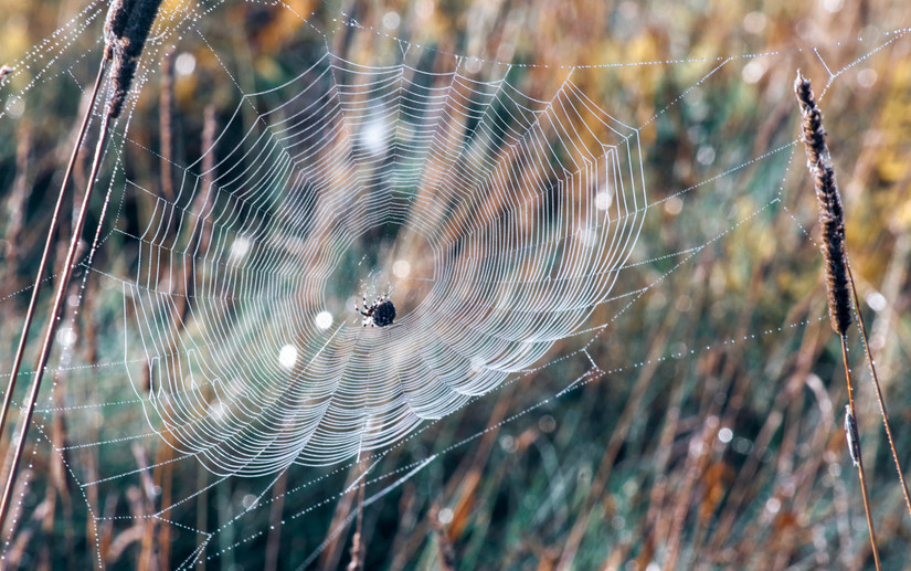 This Vermont Town (& Bridge) Might Look Familiar If You're A ...