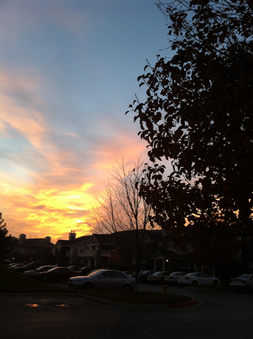 10 Things To Do In Overland Park: Complete Guide To A City With ...