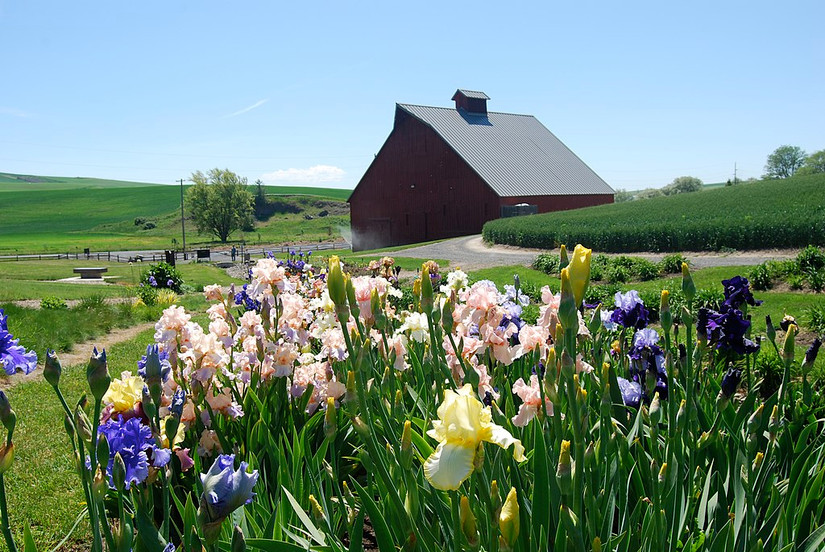 12 Things To Do In Moscow: Complete Guide To A Unique Idaho City