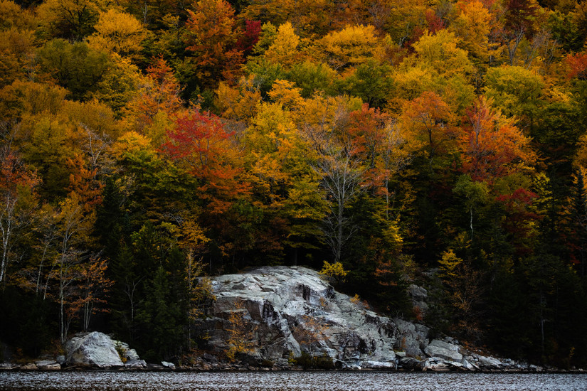 10 Best Resorts In Vermont To Book For a Spectacular Fall Retreat