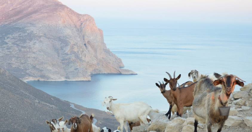 These 18 Stunning Greek Islands Can Be Visited From Turkey