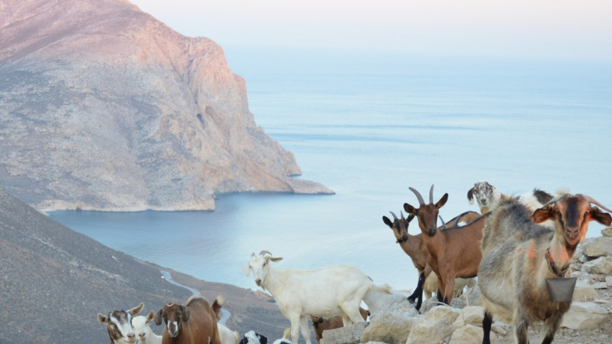 10 Reasons To Visit This Greek Island That Only Locals Know About