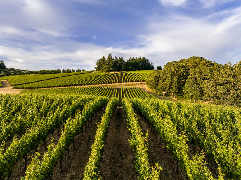 10 Things To Do In Willamette Valley: Complete Guide To Oregon's Scenic ...