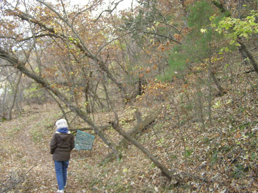 Nebraska's Cowboy Trail Offers A Rustic View Of The State's Fall Foliage