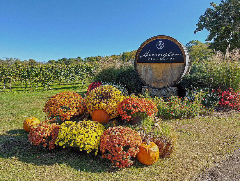 10 Perfect Activities For Couples Visiting Tennessee In The Fall