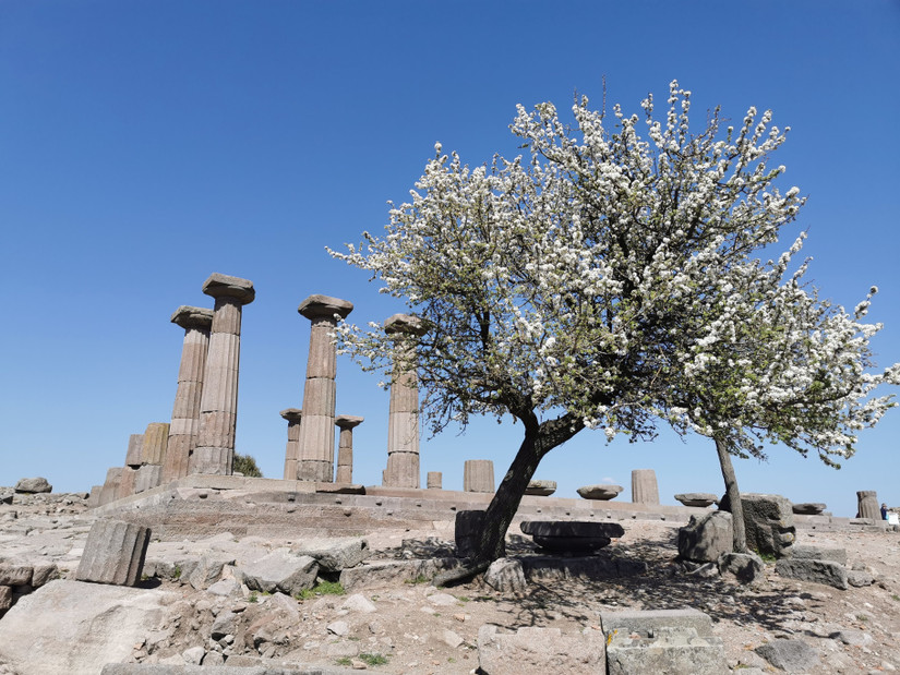 Here Are 10 Ancient Greek Temples Dedicated To The Goddess Athena That ...