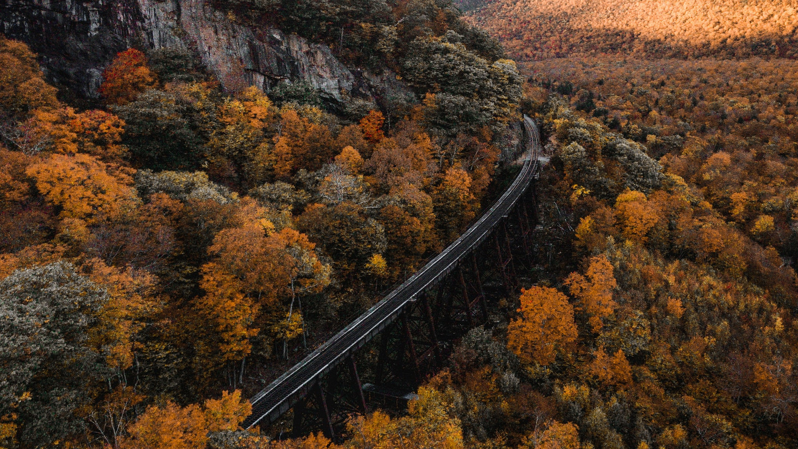 7 Most Beautiful Fall Train Journeys In The Northeast
