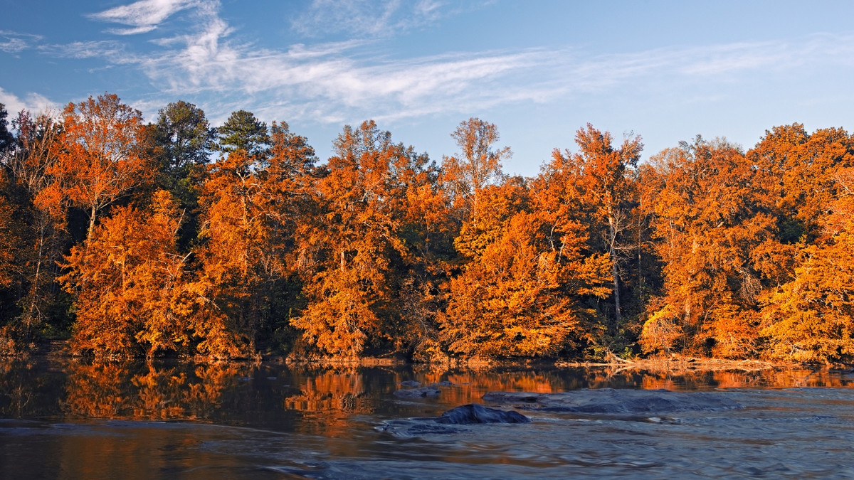 10 Things To Do In Blue Ridge: Complete Guide To Georgia's Most ...
