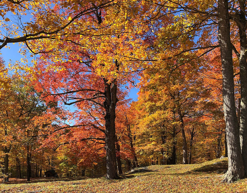 10 Things To Do In Manchester: Complete Guide To Vermont's Scenic ...
