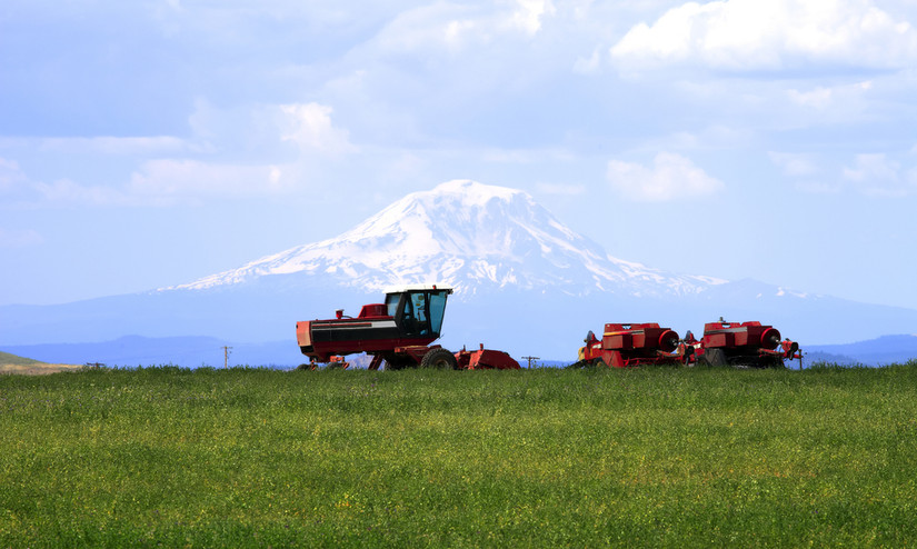 What To Know About Visiting The Largest Volcano In Washington State