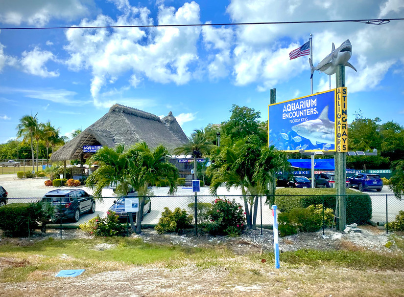 10 Best Hotels In Marathon, Florida, You Should Book This Fall